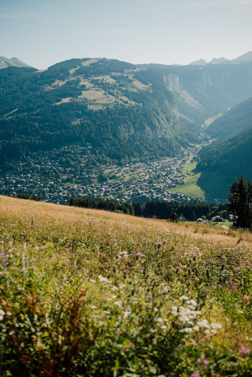 Five Reasons To Reach Le Pleney Summit Without Taking The Gondola